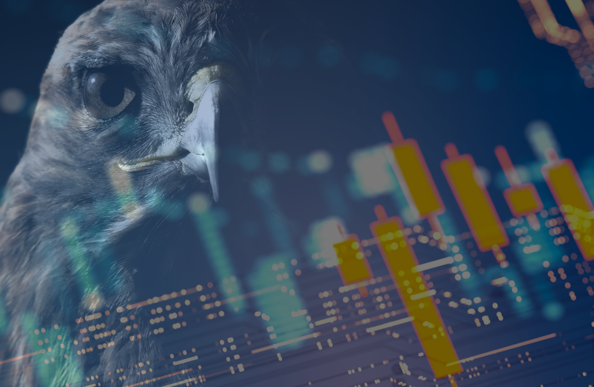 Crypto In the Hawk Claws | Redot.com